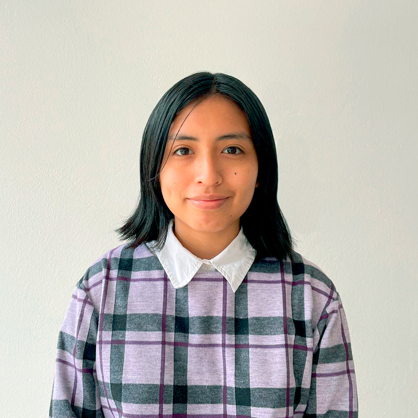 Verónica Romero Fernandez - Escuela de Gobierno y Políticas Públicas